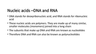 6 Nucleic acids and protein synthesis.pptx