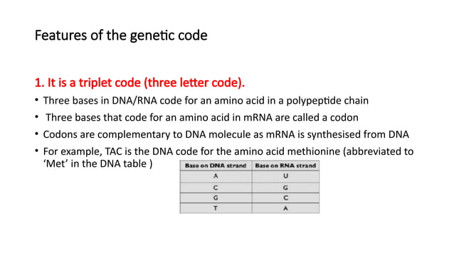 6 Nucleic acids and protein synthesis.pptx
