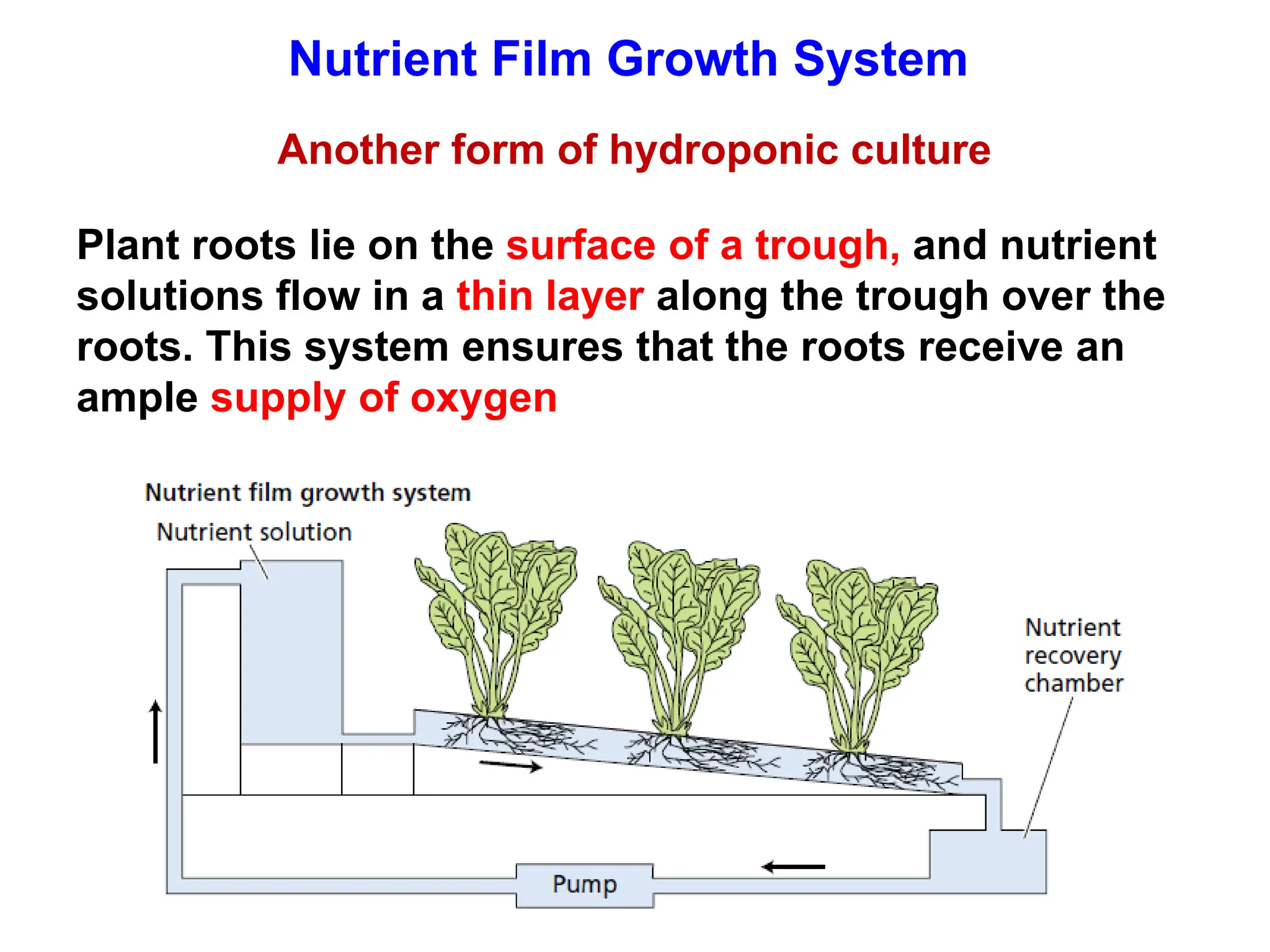 Nutrient classification&Soilless Culture | PDF