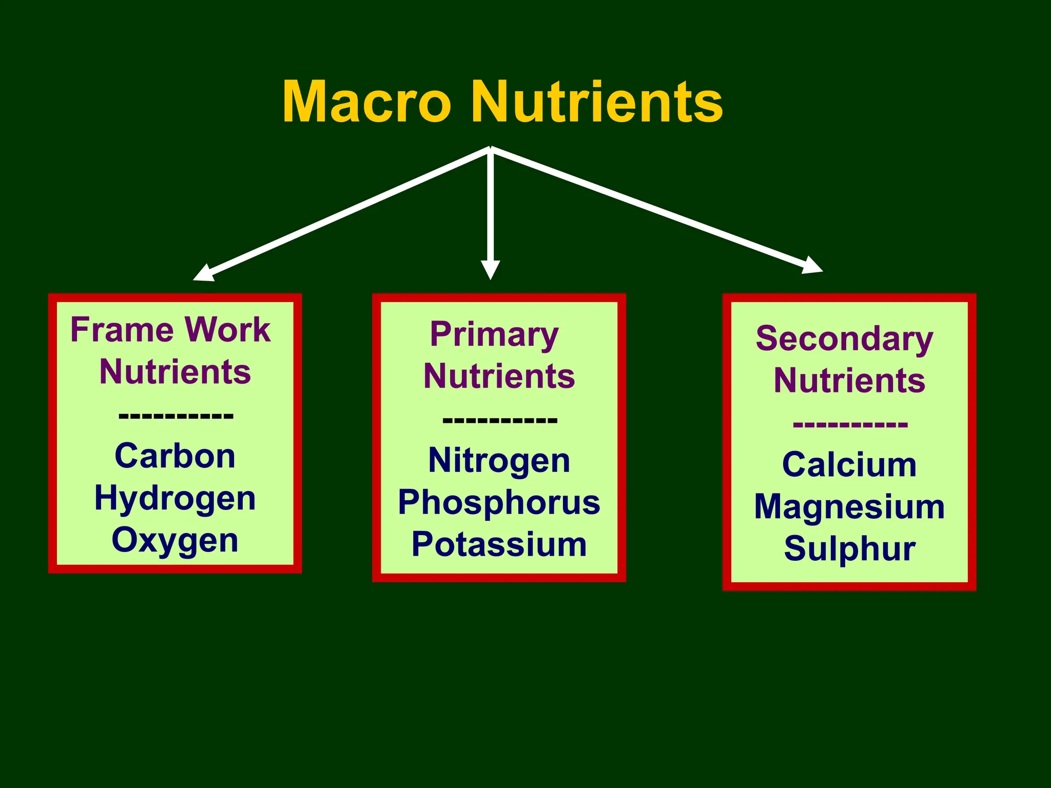 Nutrient classification&Soilless Culture | PDF