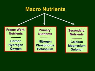 Nutrient classification&Soilless Culture | PDF