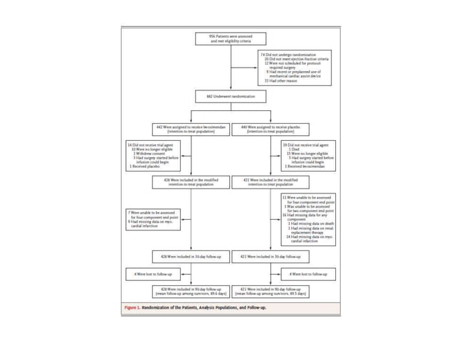 Inotrope therapy: Which one and when? by Professor Rinaldo Bellomo | PPT