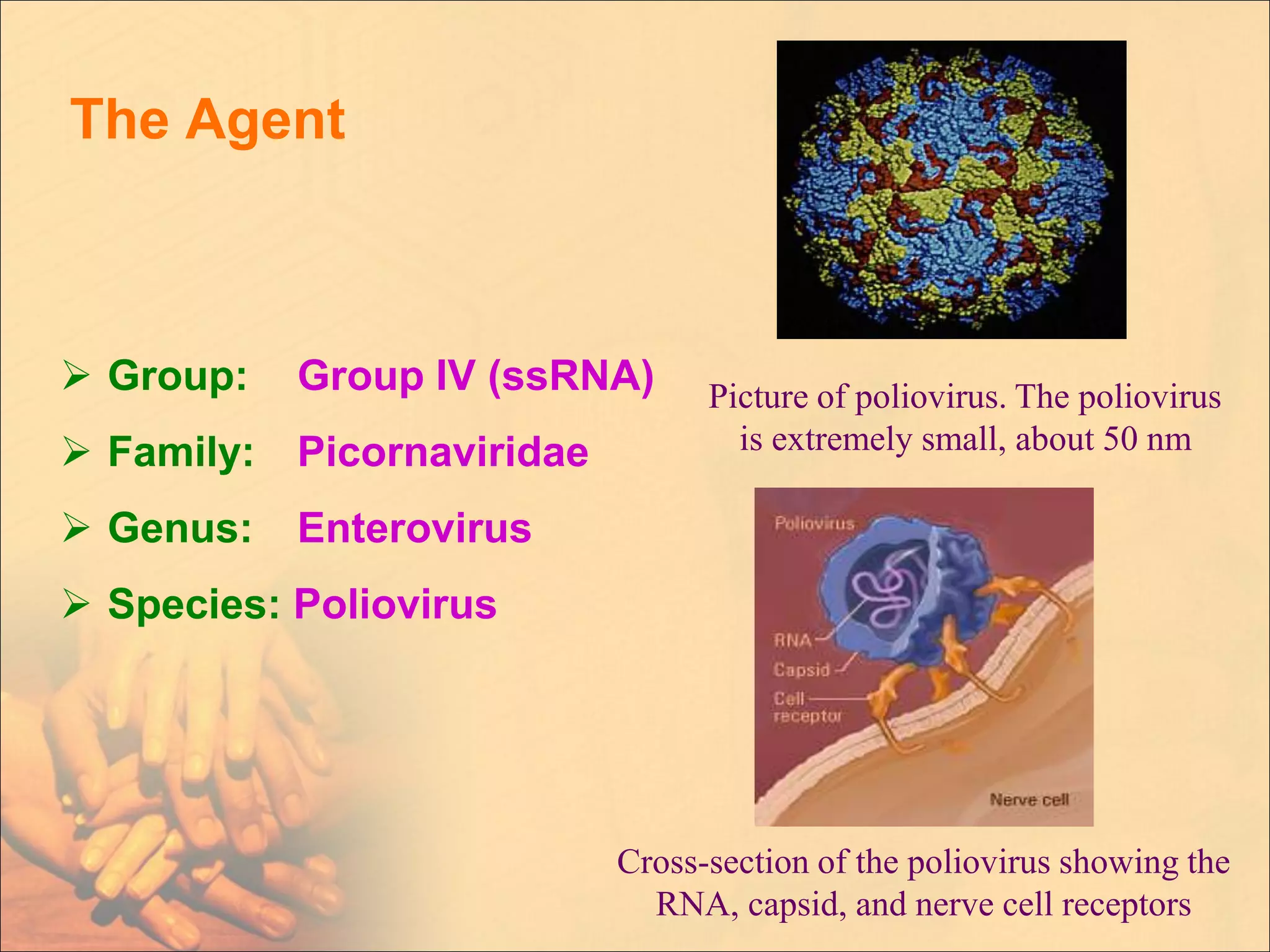 6 october -Poliomyelitis -.ppt