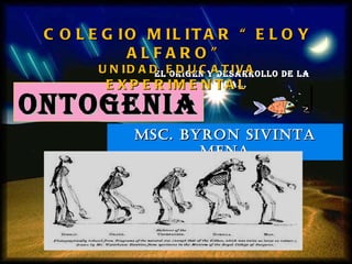 6 ontogenia introduccion_1 | PPT