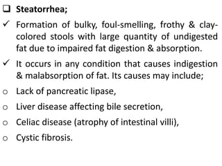 6 Pancreas.pdf