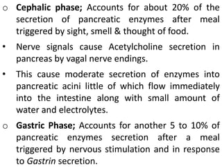 6 Pancreas.pdf