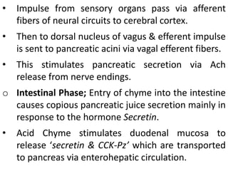 6 Pancreas.pdf