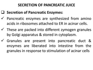 6 Pancreas.pdf