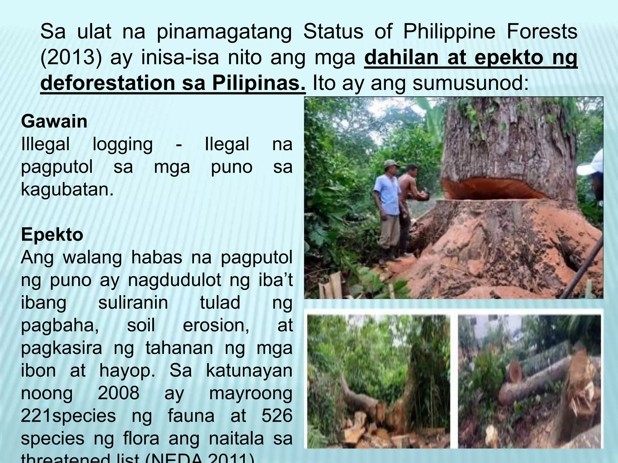 6 pangkapaligiran 2 pagkasira likas yaman | PPTX