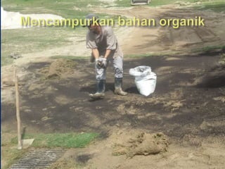 6 penyediaan tapak | PPTX