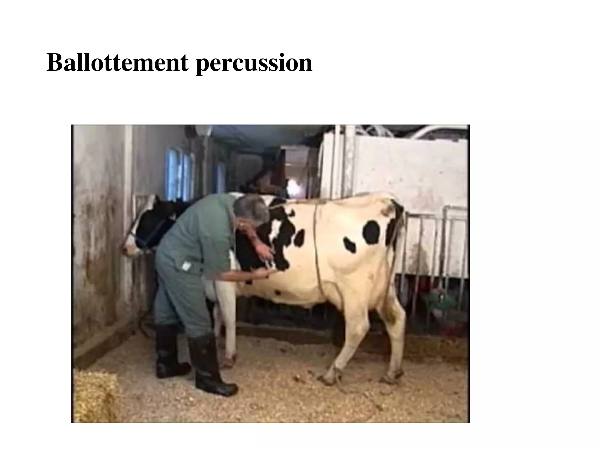 6 percussion and ascultation | PDF