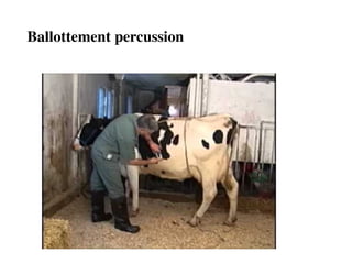 6 percussion and ascultation | PDF