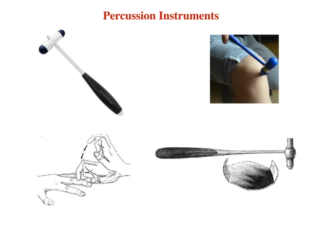 6 percussion and ascultation | PDF