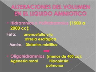 PLACENTA Y ANEXOS FETALES | PPT