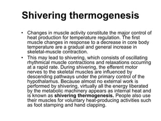 Physiology_of_thermoregulation-Physiology_of_thermoregulation.ppt