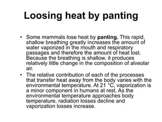 Physiology_of_thermoregulation-Physiology_of_thermoregulation.ppt