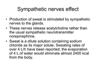 Physiology_of_thermoregulation-Physiology_of_thermoregulation.ppt