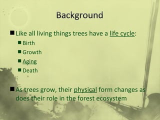 6 powerpoint tree_lifecycle_w1_d3 (1) | PPT