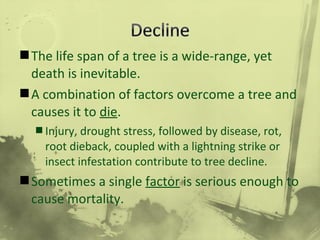 6 powerpoint tree_lifecycle_w1_d3 (1) | PPT