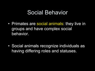 6 Primate Behavior | PPT