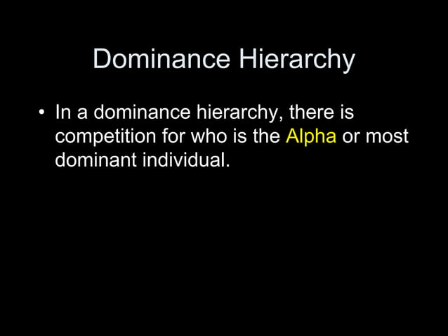 6 Primate Behavior | PPT