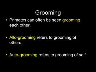 6 Primate Behavior | PPT