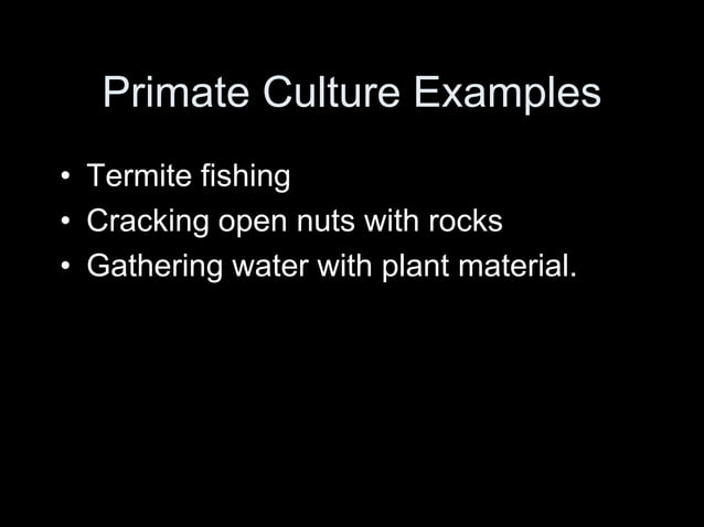 6 Primate Behavior | PPT