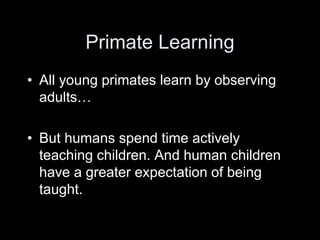 6 Primate Behavior | PPT