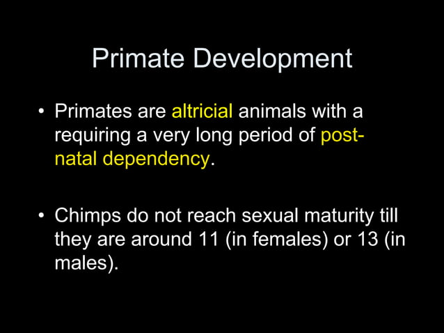 6 Primate Behavior | PPT