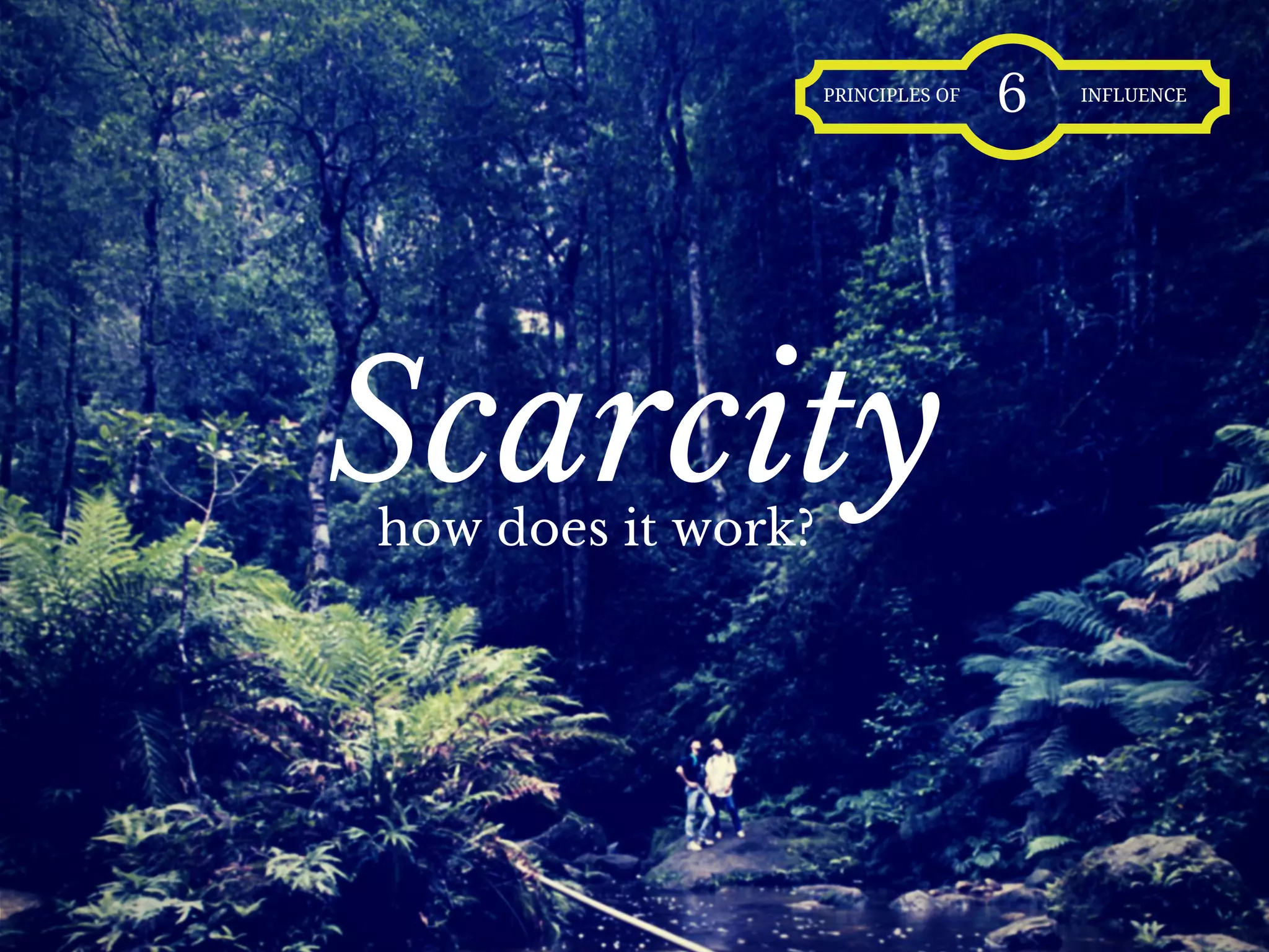 6 Principles of Influence - Robert Cialdini | PDF