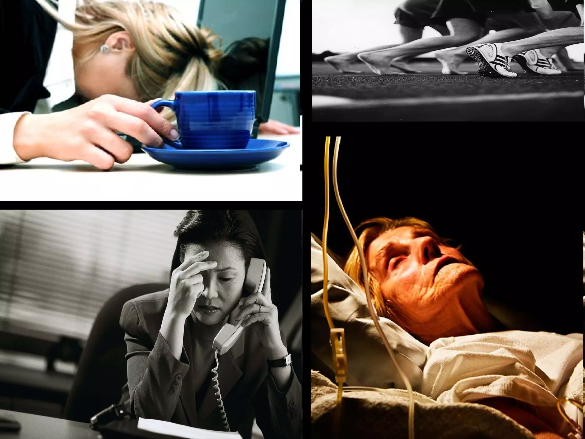 6 Principles of Life | PDF