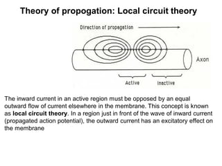 6 propagation ap | PPT
