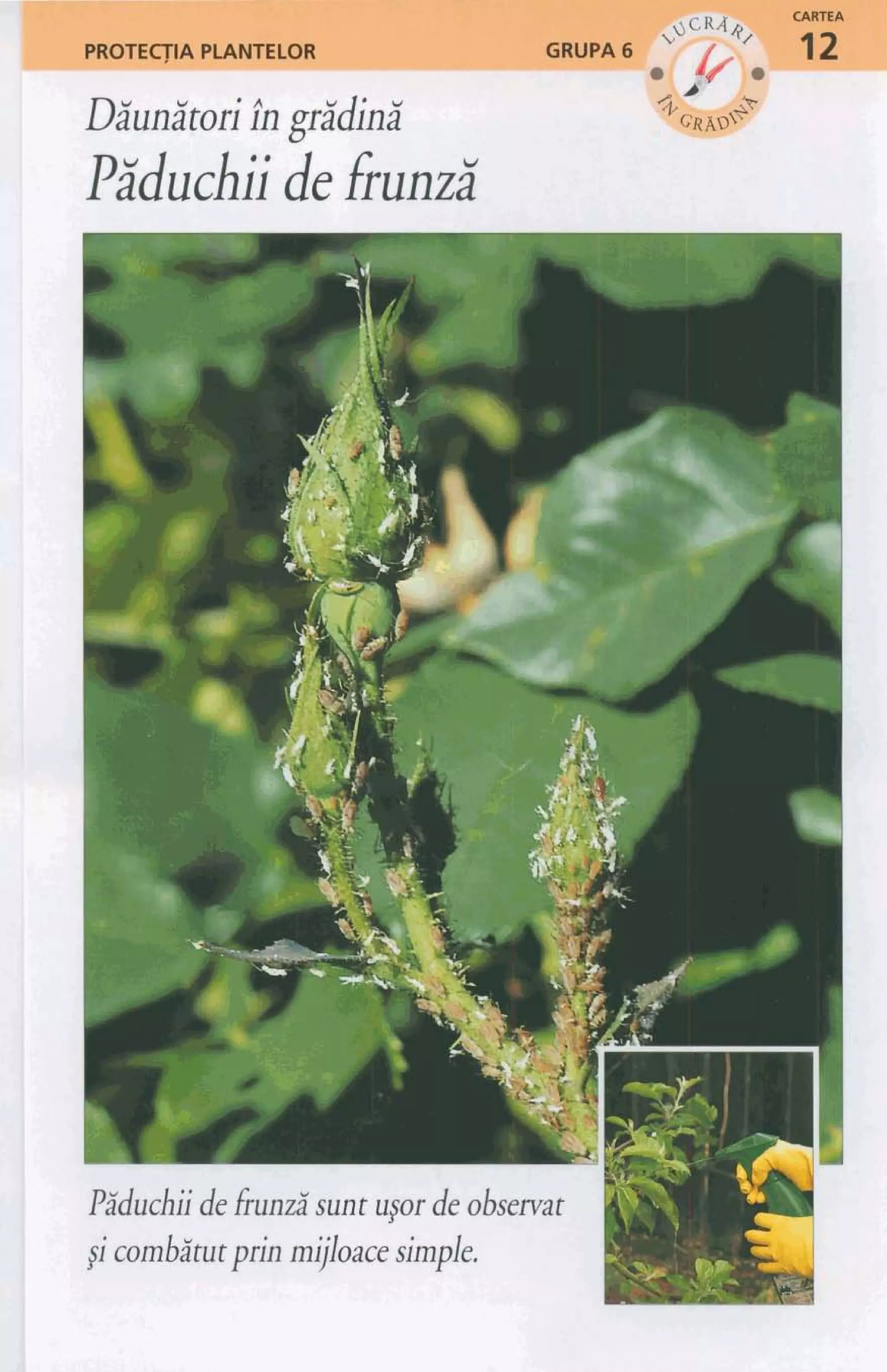 6 protectia plantelor | PDF