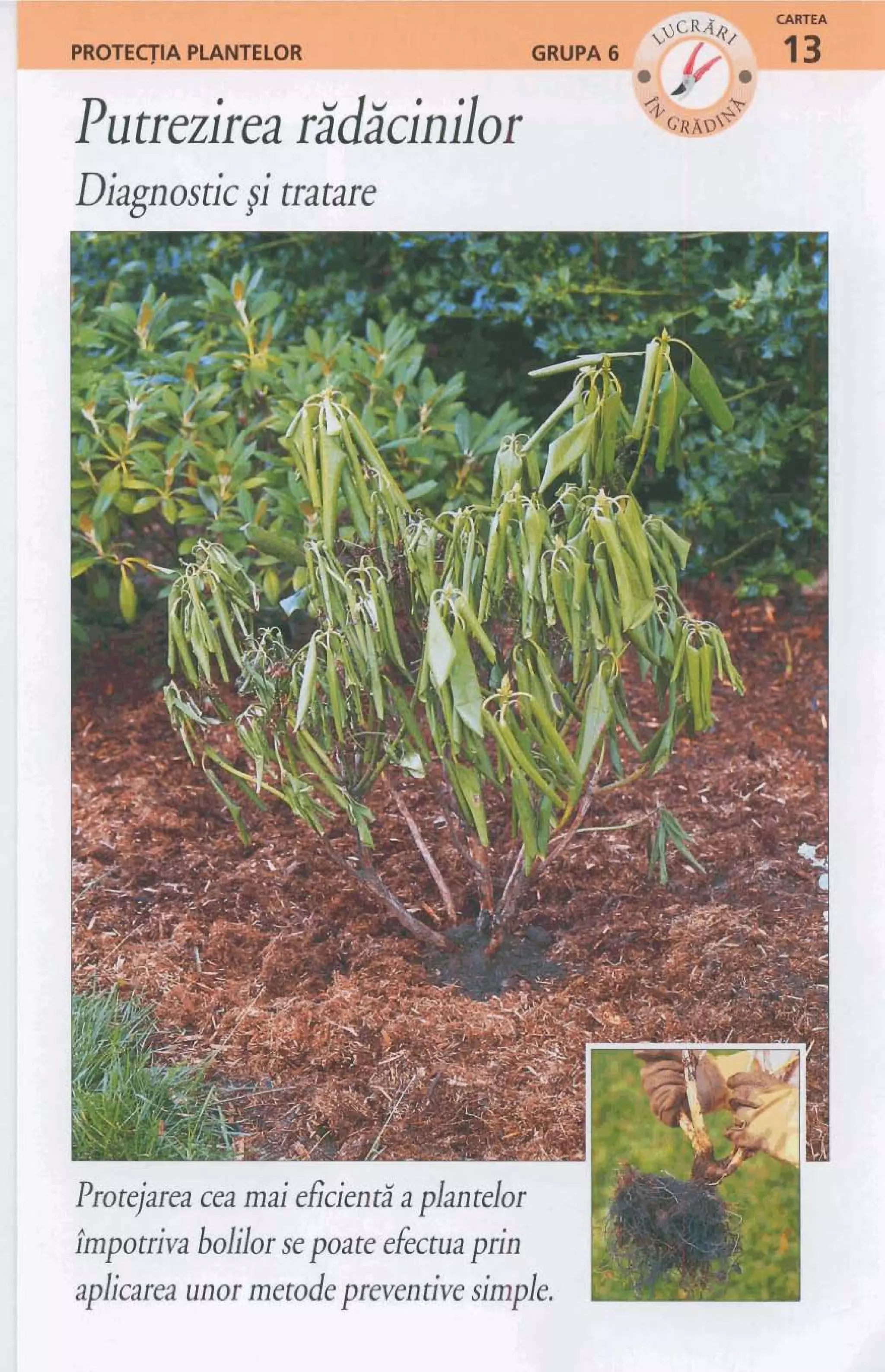 6 protectia plantelor | PDF