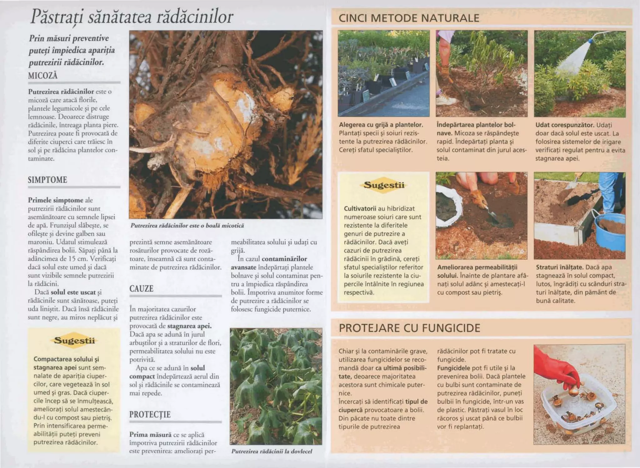 6 protectia plantelor | PDF