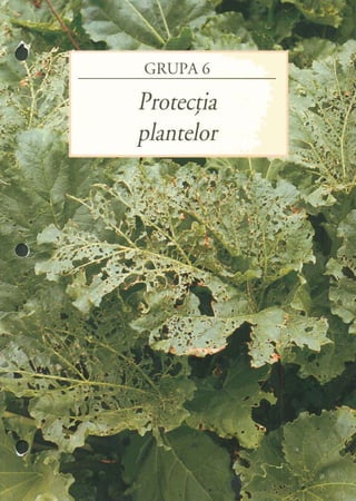 6 protectia plantelor | PDF