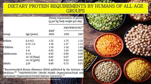 Different types of Proteins and Amino Acids and its Structure with ...