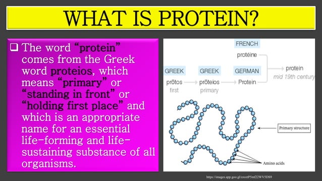 Different types of Proteins and Amino Acids and its Structure with ...
