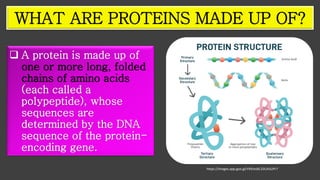 Different types of Proteins and Amino Acids and its Structure with ...