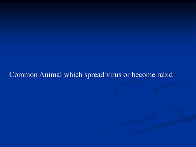 this powert point presentation is all about rabies. | PPT