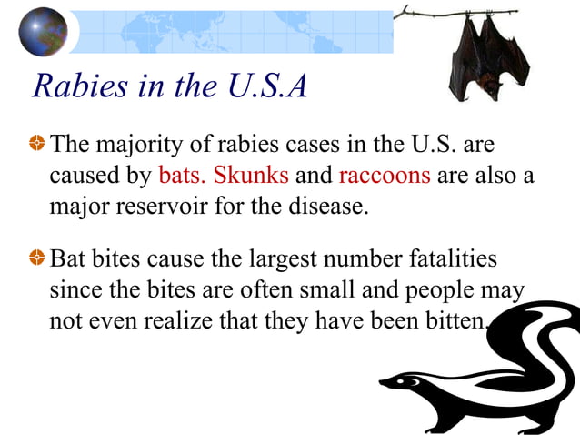this powert point presentation is all about rabies. | PPT