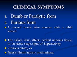 this powert point presentation is all about rabies. | PPT