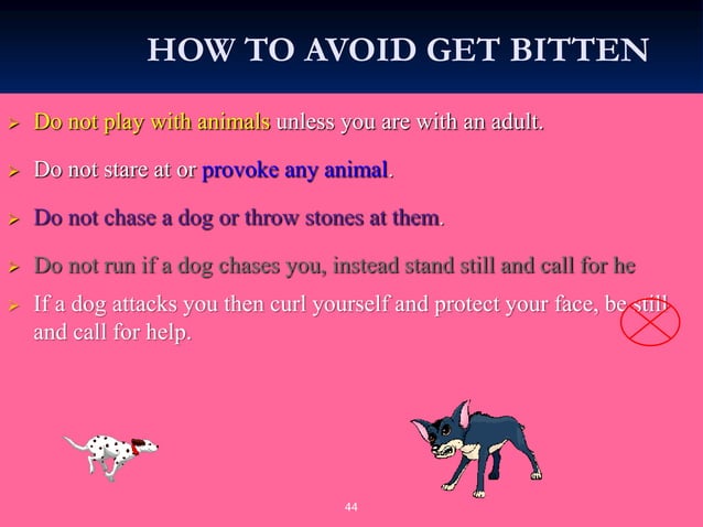 this powert point presentation is all about rabies. | PPT