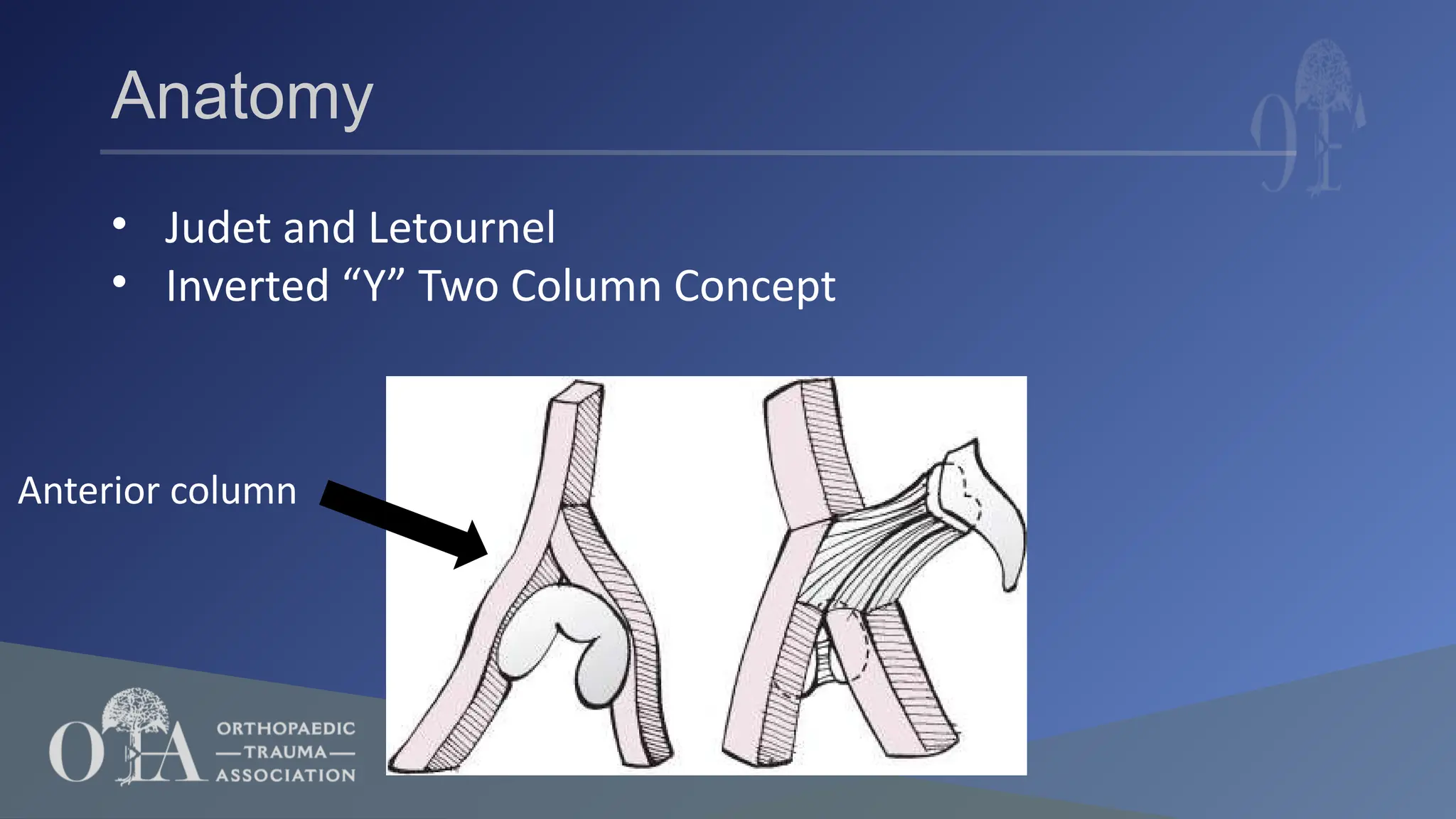 6_Radiographic Understanding, Evaluation & Classification of Acetabular ...