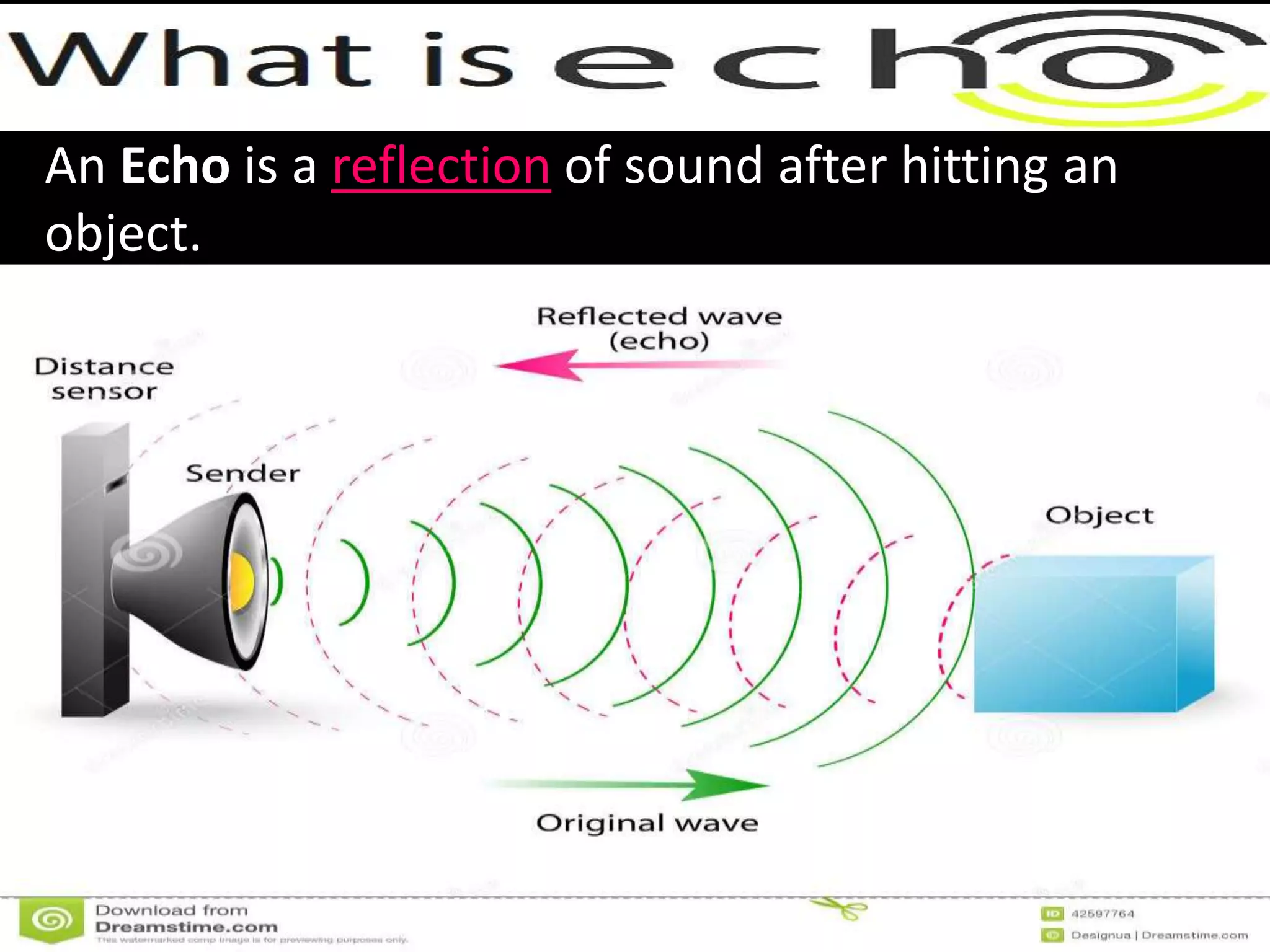Seeing With Ears:The Echolocation | PPTX