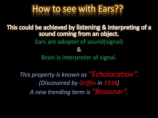 Seeing With Ears:The Echolocation | PPTX