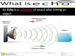 Seeing With Ears:The Echolocation | PPTX
