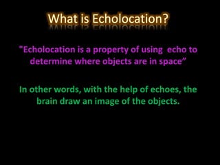 Seeing With Ears:The Echolocation | PPTX