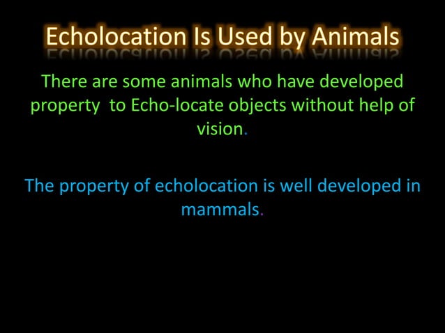 Seeing With Ears:The Echolocation | PPTX