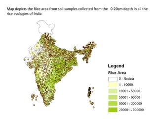Soil Organic Carbon Mapping and Estimation of Stock in Rice Soils of ...